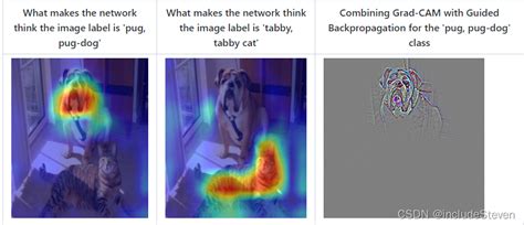 PyTorch可视化 pytorch 权重可视化 CSDN博客