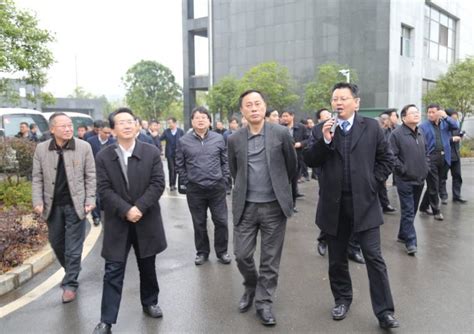 赵应云带领重点项目巡检组到中方县巡检重点项目