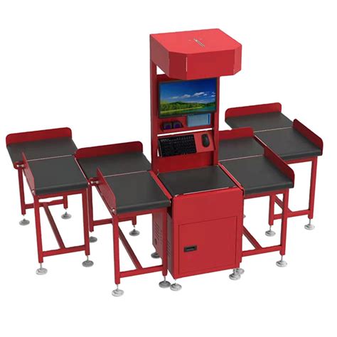 Zigzag Sorter Parcel Sorting With Dws From China Manufacturer Yaoli