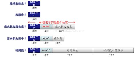 Tcp Ip详解：tcp的头部与选项tcp Option 28 Csdn博客