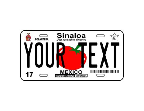 Custom Aluminum Plate For Sinaloa State Car Sinaloa Car Etsy In 2022