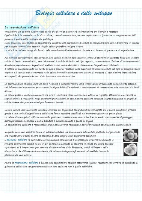 Biologia Dello Sviluppo
