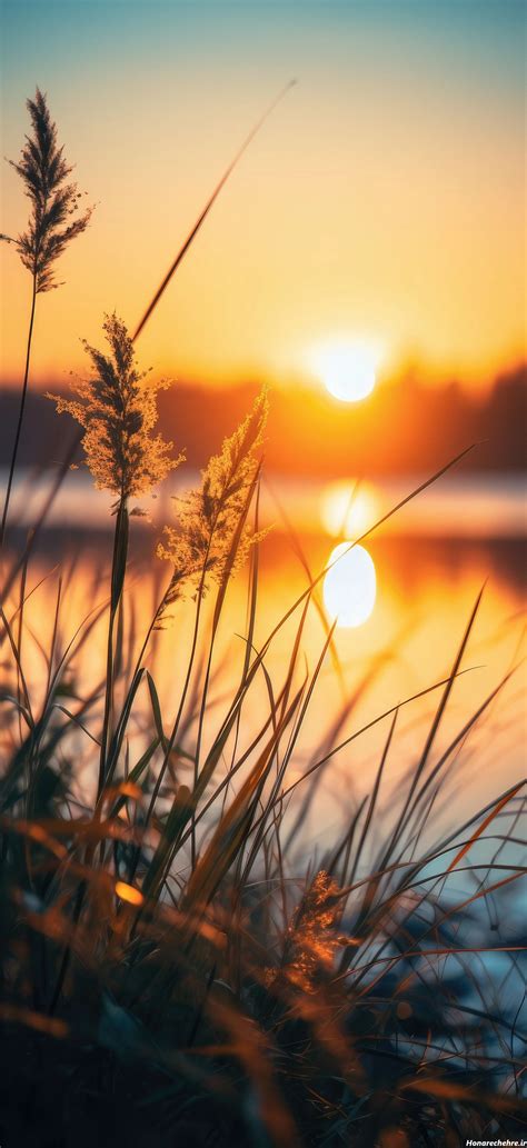 29 عکس از بک گراند ویندوز با کیفیت بالا برای زیبایی دسکتاپ شما