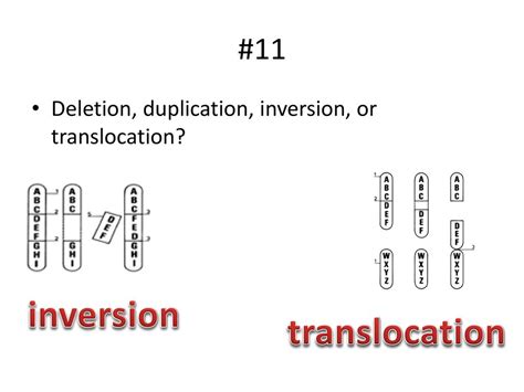 Pre Test Genetics Ppt Download