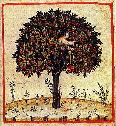 Illuminated Manuscripts Growing And Harvesting Flowers Nuts Herbs