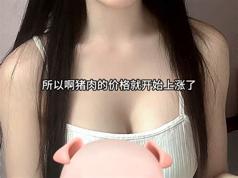 猪肉涨了 视频封面下载 Video Cover Downloader ShowBL
