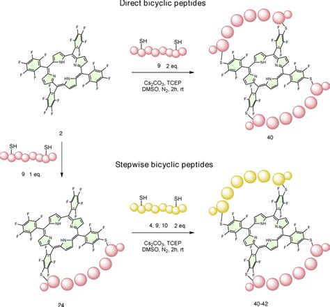 Reaction Scheme For The Synthesis Of Bicyclic Peptides Download