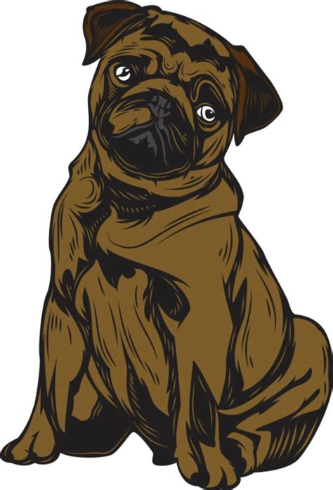 Do Vector Tracing Cleanup Redraw Logo Image To Vector By Ahdesignerr Fiverr