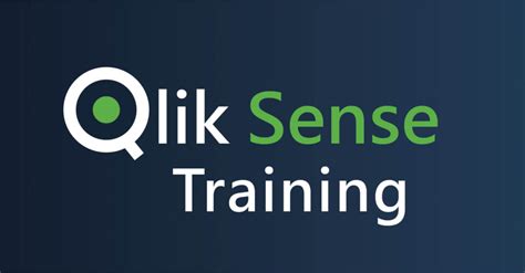 Qlik Sense Training For Internal Auditors Basic
