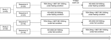 Schematic Diagram Of The Study Design And Dosing Schedules Download