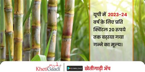 The Uttar Pradesh Sugarcane Rate Increased