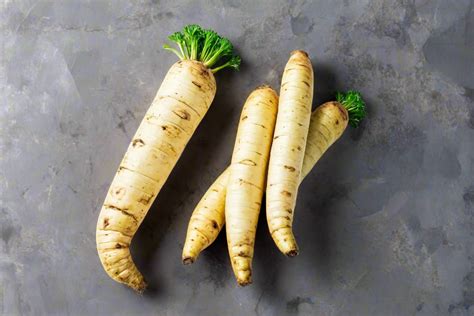 Parsnip Melbourne White Skin Seeds Organic Seeds N Beyond Parsnip Melbourne White Skin Seeds Organic Seeds N Beyond