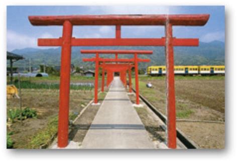 みどころ紹介 ついじまつ築地松景観保全対策推進協議会ウェブサイト
