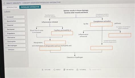 Solved Use The Terms To Complete The Concept Map Showing Chegg