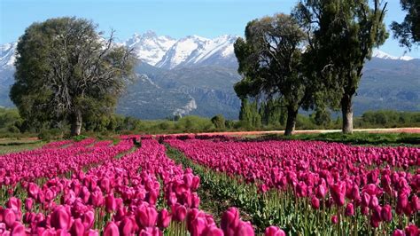 Viajes Soñados Una Experiencia Multicolor En La Cordillera De Chubut