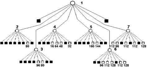 scene octree graph with distance data download scientific diagram