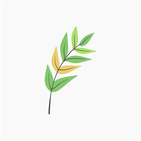 Premium Vector Leaves Illustration
