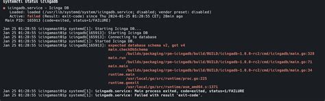 icingadb service don t started icinga db icinga community