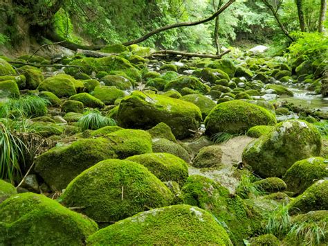 茨城県穴場な絶景観光地を半日日帰りドライブ自然おすすめ旅行スポット人気定番から隠れ珍名所2023年まとめ日本国内の観光旅行ブログ