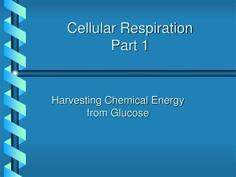 Ppt Cellular Respiration Part 1 Powerpoint Presentation Free