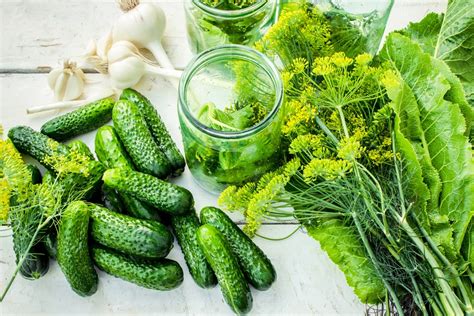 Prickly Cucumbers A Problem Or Perfectly Normal Garden Eco