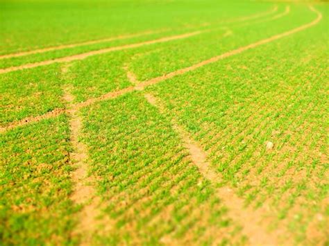 Premium Photo Full Frame Shot Of Agricultural Field