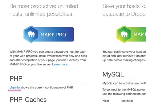 【mamp】phpのdate関数の時間が規則的にズレる