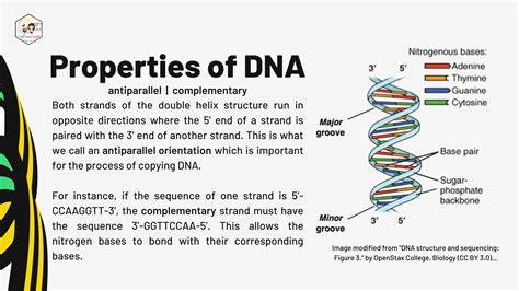 [biochemistry] Properties Of Dna And Rna — Filipino Science Hub