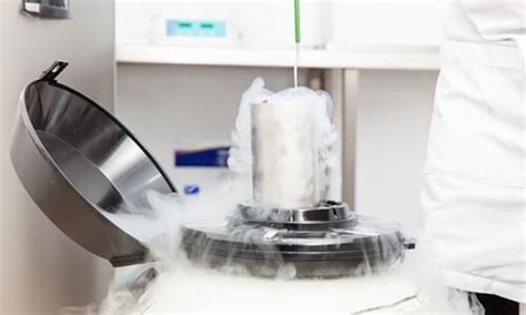 Customized Enzyme Development And Commercial Production Genscript