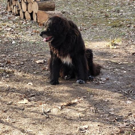 Edwin Hall On Linkedin In Memory Of Kate