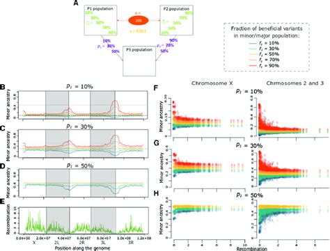 Directional Selection Can Produce Negative Or Positive Correlations