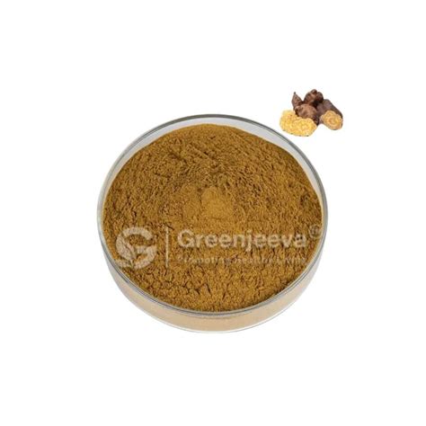 Polygonum Cuspidatum Extract Powder 50 Resveratrol Hplc Dietary