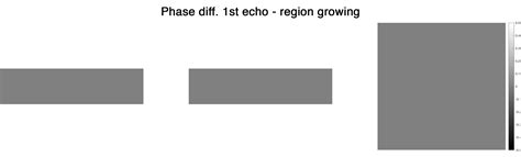 Choosing A Right Phase Unwrapping Method For Your Data SEPIA Documentation