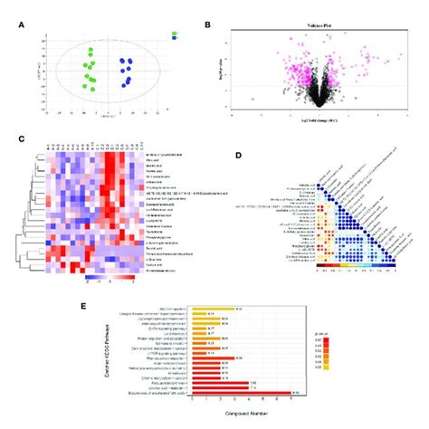 Negative Ion Mode Multivariate Statistical Analysis Heat Map