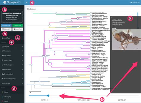 interactive web based visualization and sharing of phylogenetic trees