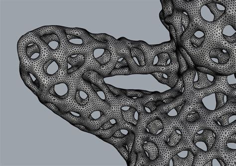 Digital Fabrication For Designers Tesselated Voronoi Figure Sculpt