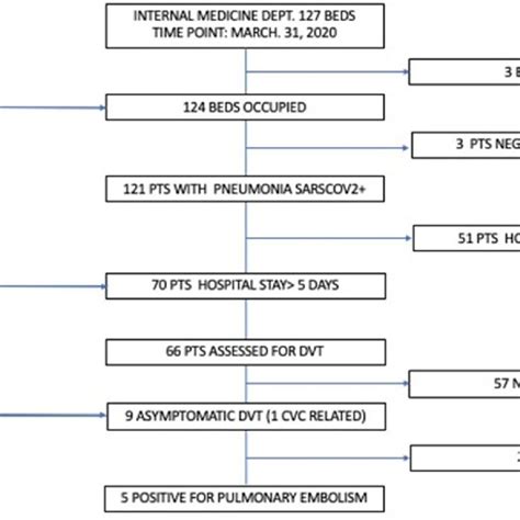 Dvt Risk Assessment Tool Download Scientific Diagram