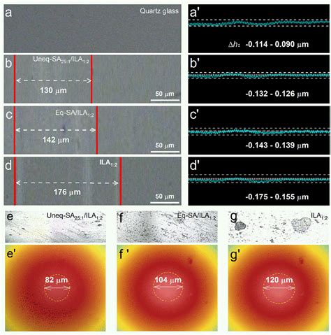 Surface Morphologies Of Friction Pairs After Friction Tests A D Optical Download Scientific