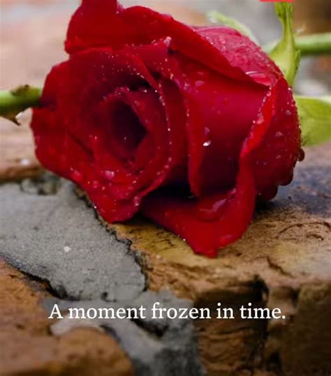 Medium Junction A Short Poem By Prasenjit Mitra Mar 2024 Medium