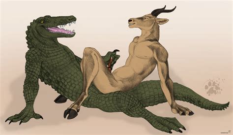 Rule 34 Anal Anal Sex Antelope Anthro Blotch Cowgirl Position