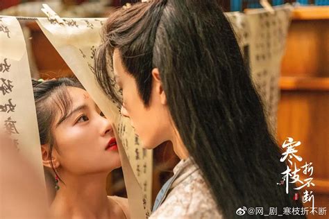 寒枝折不断电影介绍评价剧照演员表影评 酷乐米