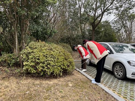 桐城市嬉子湖镇妇联巾帼志愿者助力人居环境整治澎湃号·政务澎湃新闻 The Paper