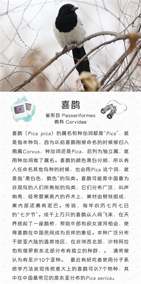 图文详情