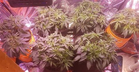 Part 2 Album On Imgur