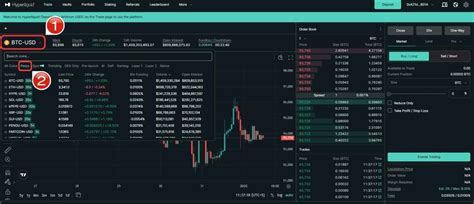 Trading On Hyperliquid Step By Step Guide