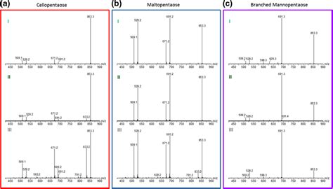 Mass Spectra Obtained After Imsims Experiments For Three 18 O Labeled Download Scientific