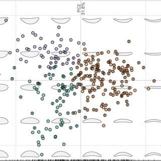 Results Of The Shape Analysis The Data Set Is Separated Into Three Download Scientific Diagram