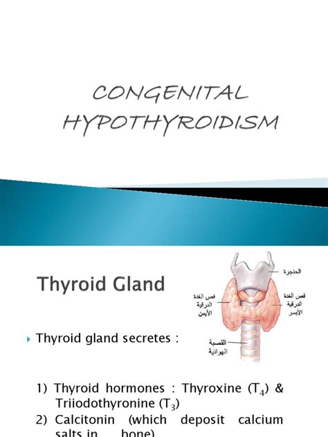 Congenital Hypothyroidism Thyroid Thyroid Stimulating Hormone