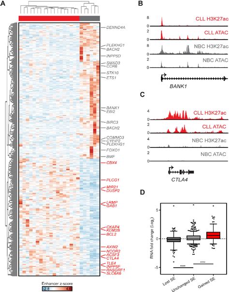 Figure 1 From Enhancer Architecture And Essential Core Regulatory Circuitry Of Chronic
