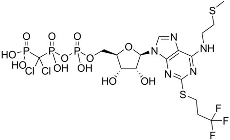 Cangrelor New Drug Approvals
